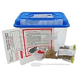 Lifecycle Kits Comparison Chart | Buying Guide | Live Animal Kits