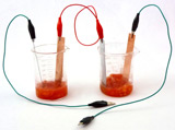 Tomato Battery Science: Make a Battery and Learn About Electricity