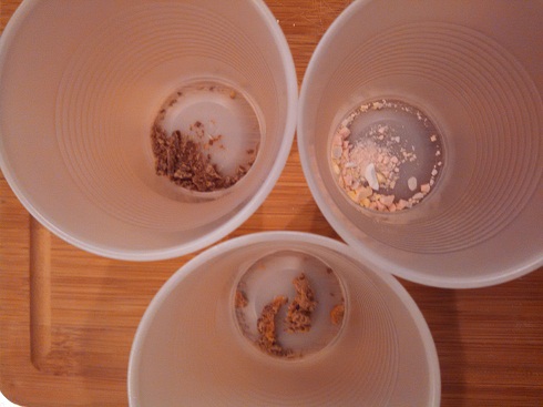 Sugar in Halloween Candy | Test for Glucose Experiment