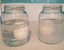 Folded Egg and Floating Egg Science Projects for Kids