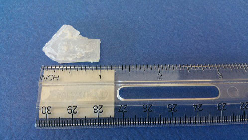 Crystals: Make Rochelle Salt Science Project | Chemistry