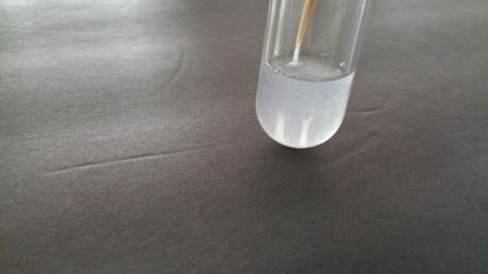 How to Extract DNA At Home | Kids Science Fair Project