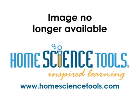 Real Science 4 Kids Curriculum