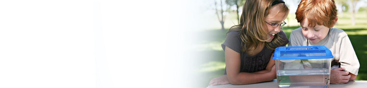 Life Science Kits for Kids: Study Animal and Plant Science